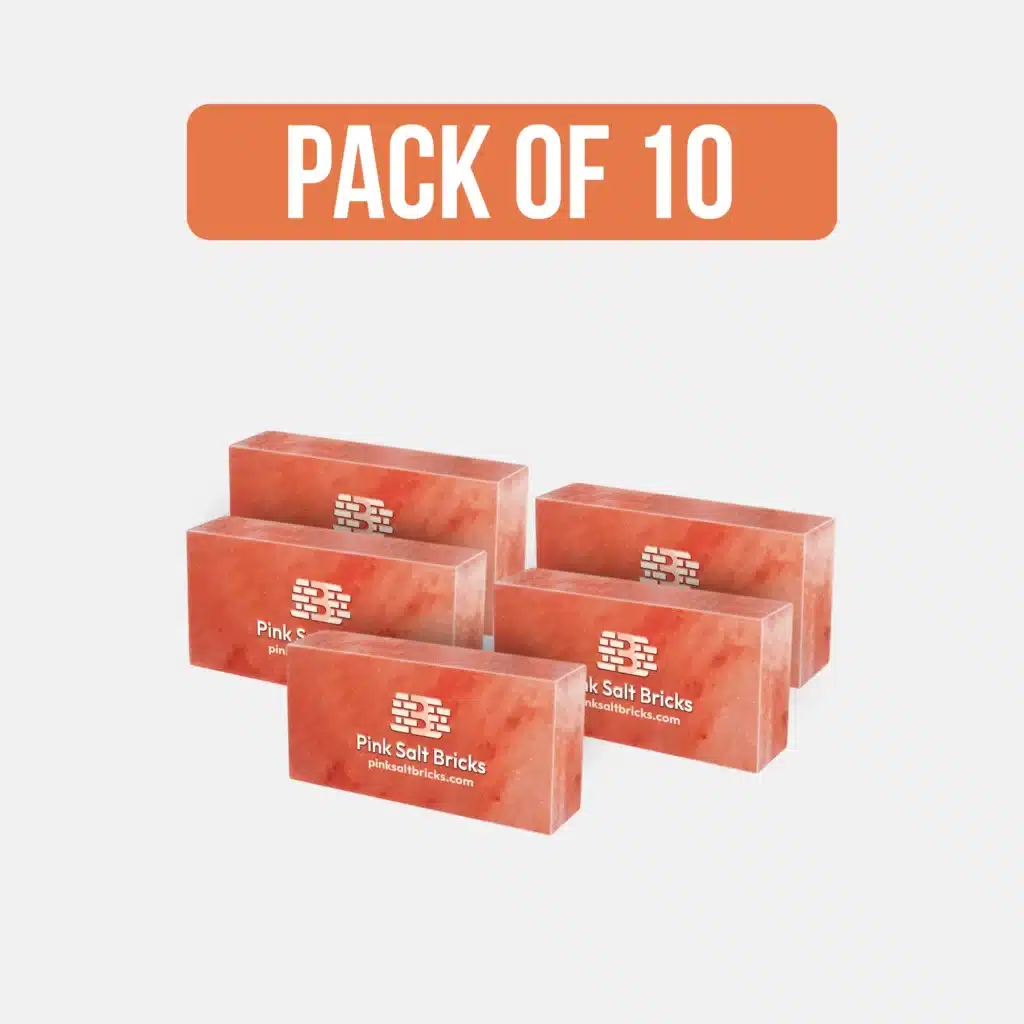 Himalayan Salt Bricks 8" x 4" x 2" - Pack of 10 - Pink Salt Bricks